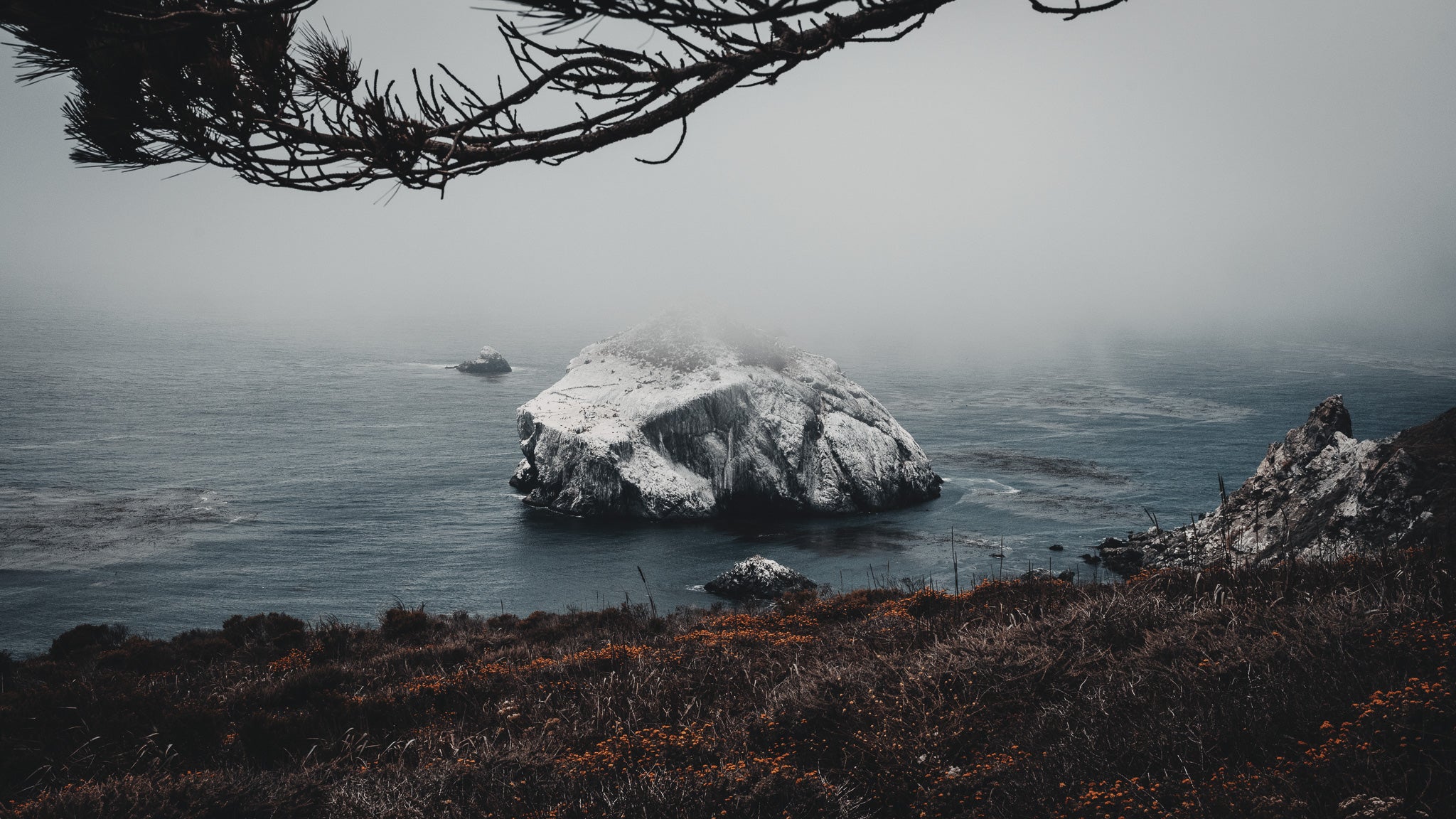 Captain Your Own Ship – DeepSnap