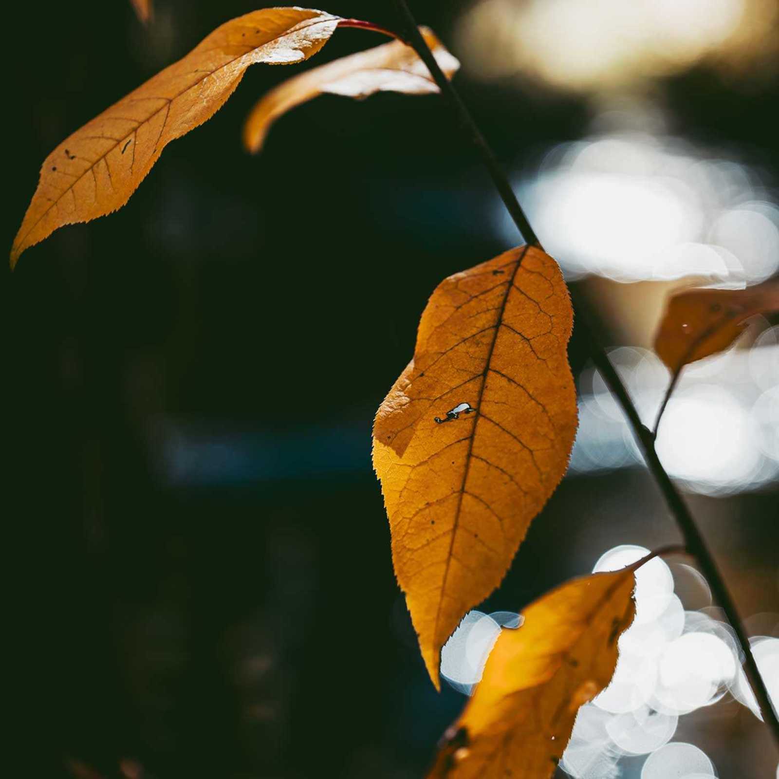 Are You A Bad Person? – DeepSnap