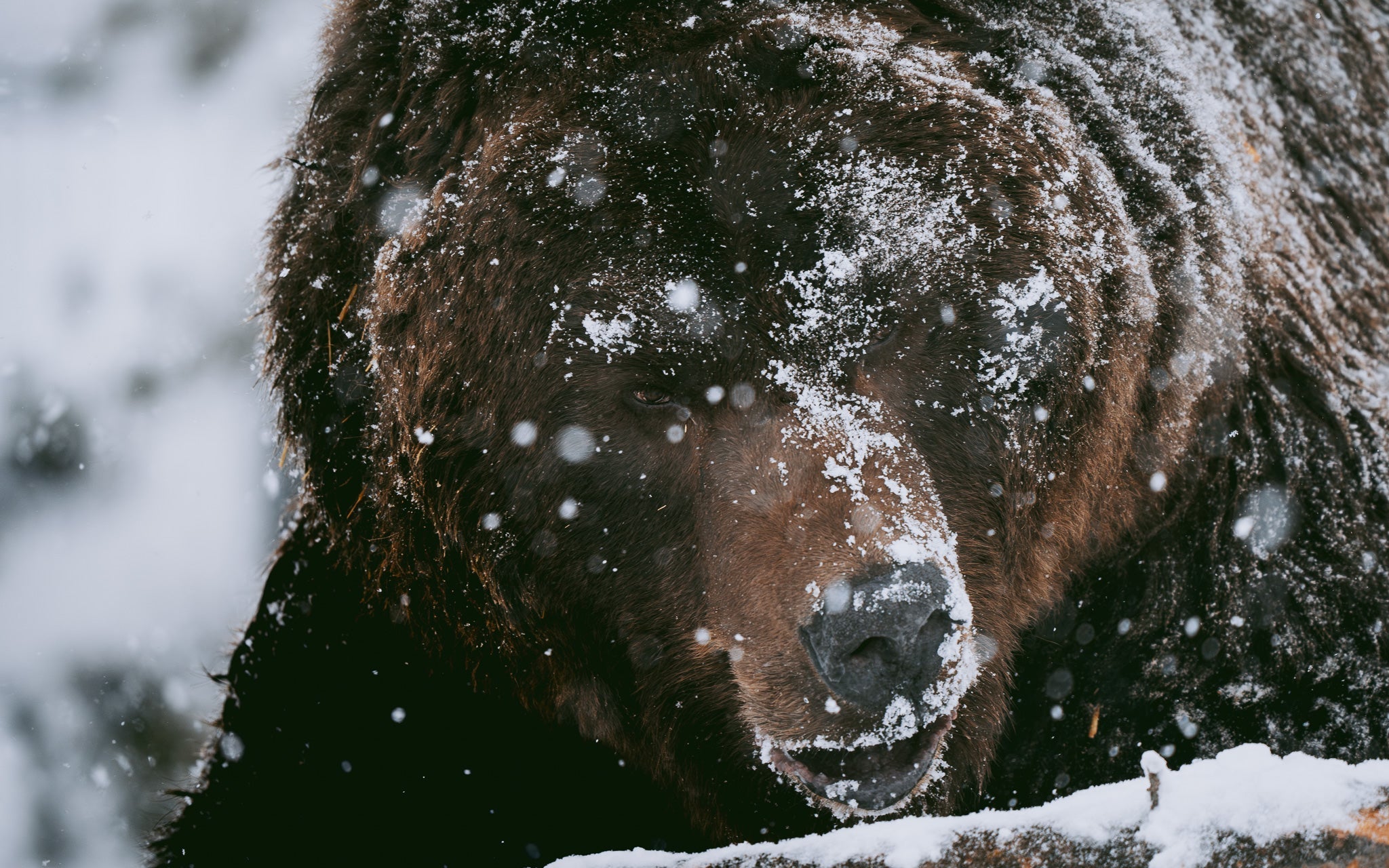 Running out of time – DeepSnap