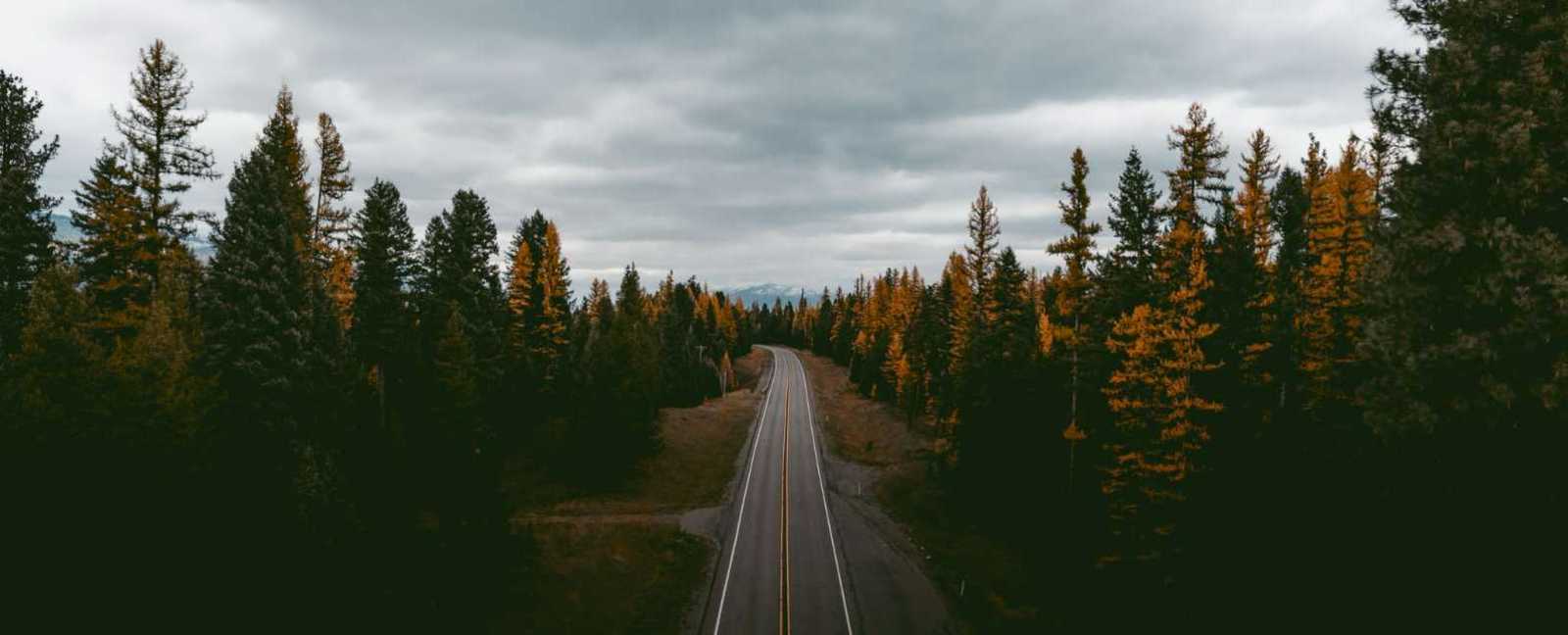 Enjoy The Journey – DeepSnap